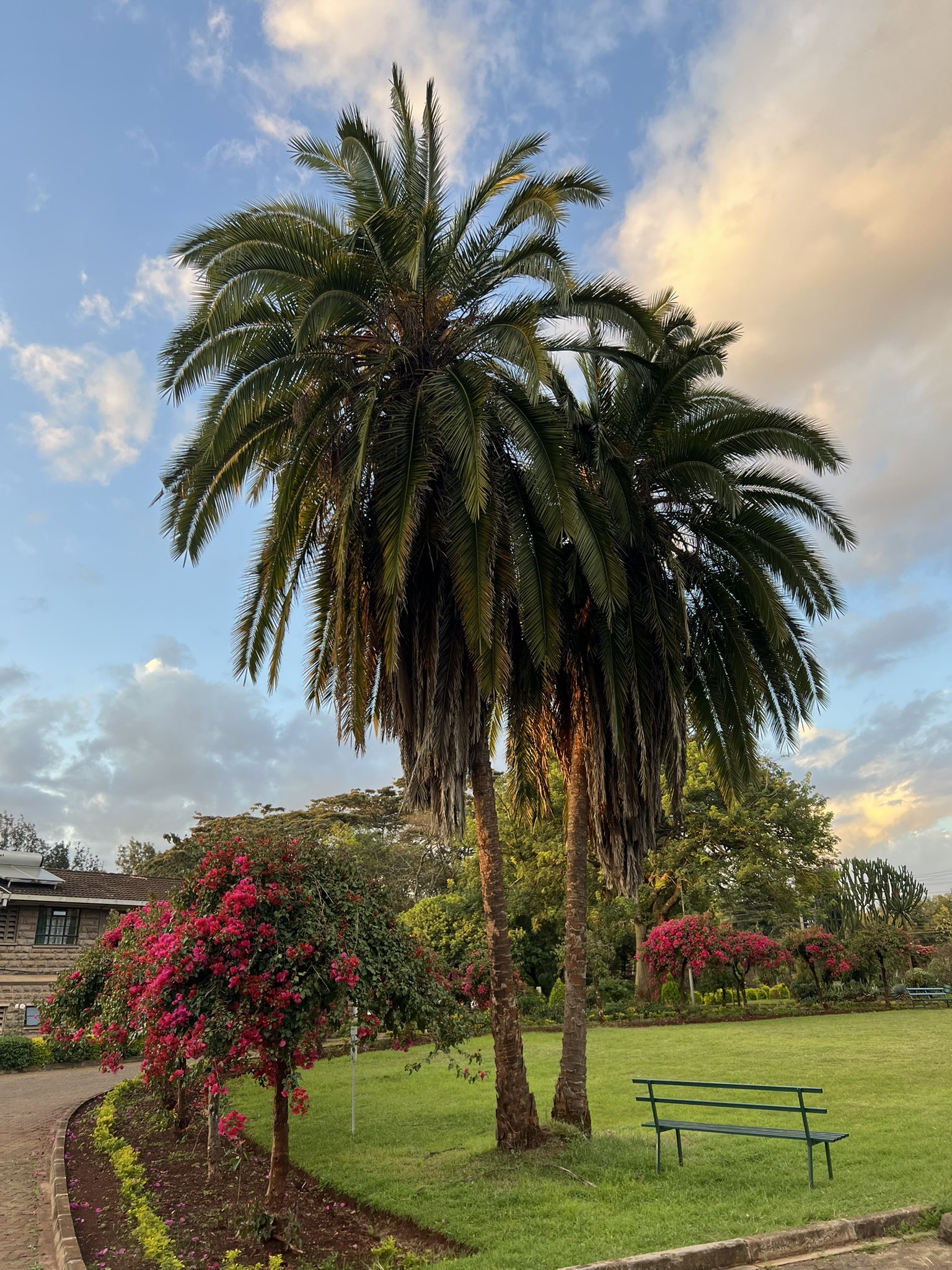Dimesse Retreat and Conference Centre - Dimesse Sisters